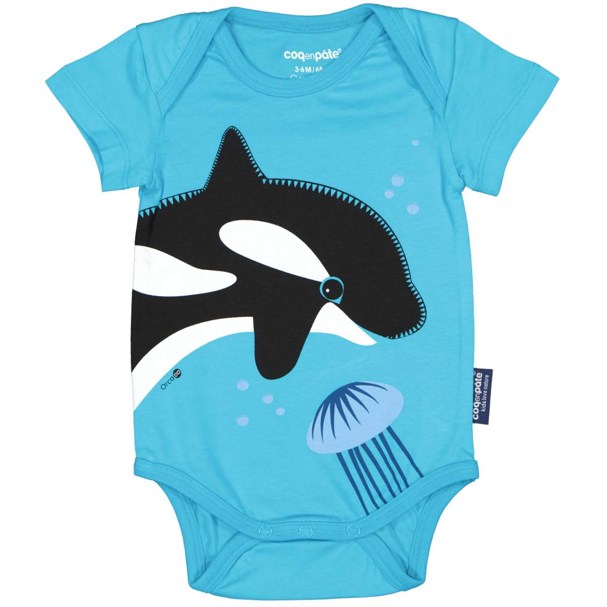 Body ORQUE – Fishishop